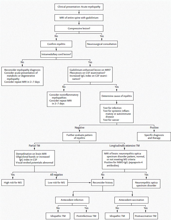 Transverse Myelitis